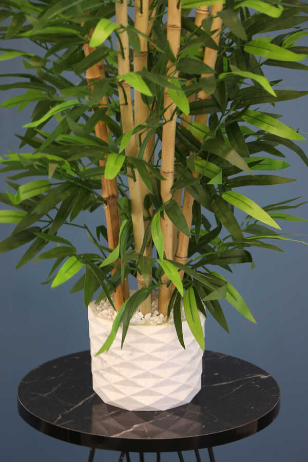 Beton Saksıda Bambu Ağacı Yoğun Yapraklı Bambu Ağaçlar Yapay Çiçek Deposu