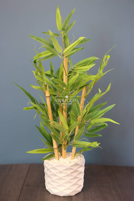 Beton Saksıda Lüx Bambu Ağacı Açık Yeşil 65 cm (Taşlı Model) Bambu ...