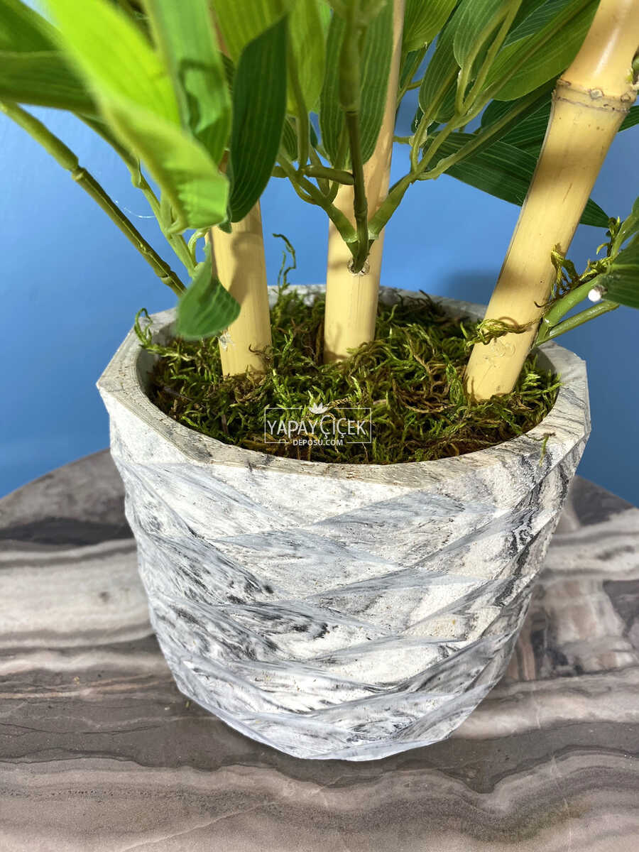 Beton Saksıda Lüx Bambu Ağacı Açık Yeşil 65 cm (Yosunlu Model) Bambu ...